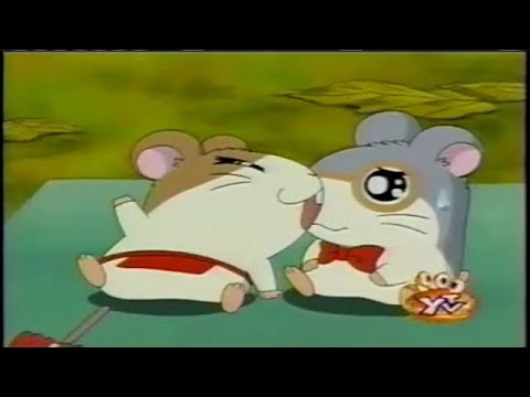 YTV Screenbug - Hamtaro (2003) - YouTube