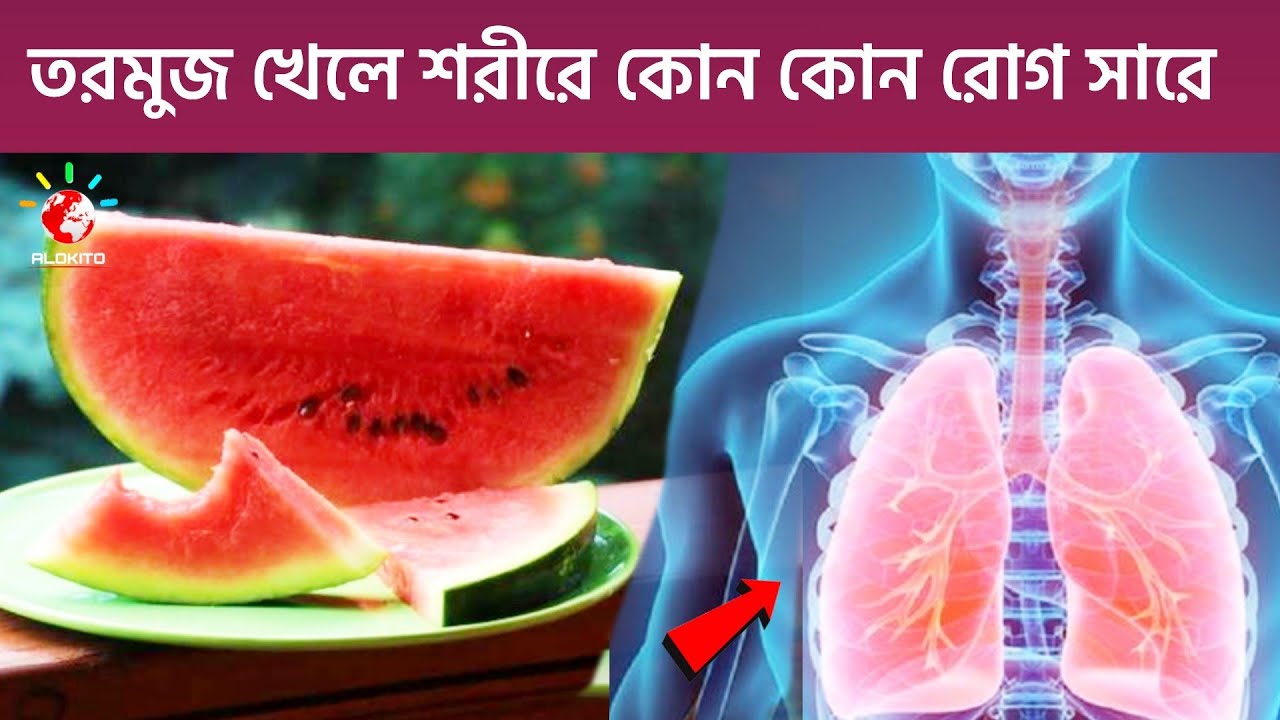তরমুজ | tormuj | islamic information | islamic Knowladge | ALOKITO ...
