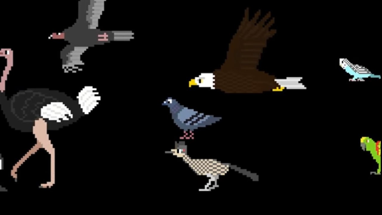 Indian Birds - Kids tv - Kids picture show(Fun & Educational)learning ...