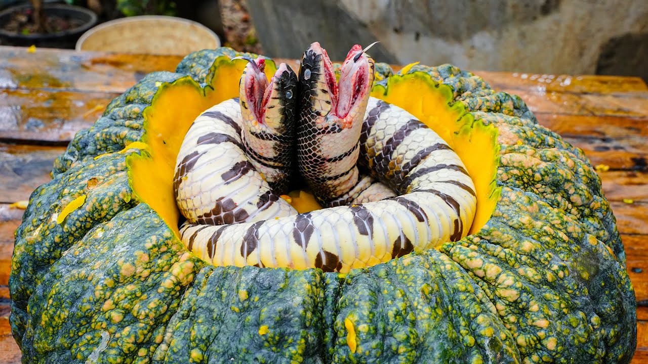 Amazing Food, Steamed Snake with Pumpkin Eating Delicious😋 - YouTube