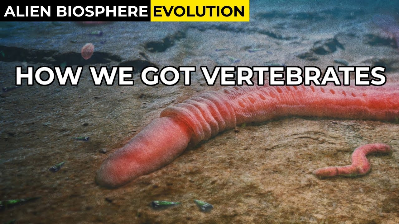 The Vertebrate Recipe | Alien Biosphere Evolution #9 - YouTube