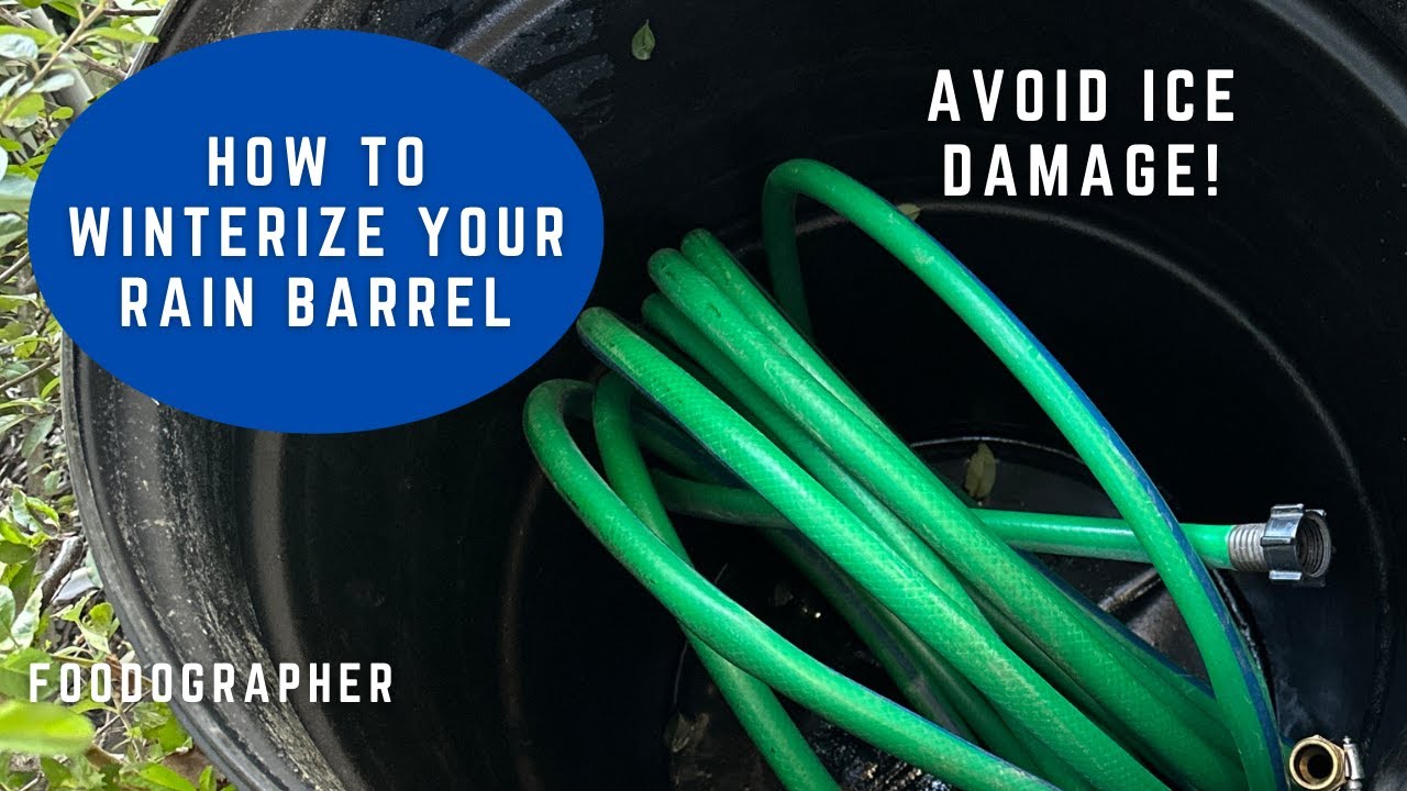 How to Winterize Your Garden Rain Barrel - Avoid Ice Damage in Freezing ...