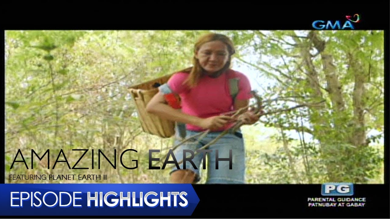 Amazing Earth: A mother who protects nature - YouTube