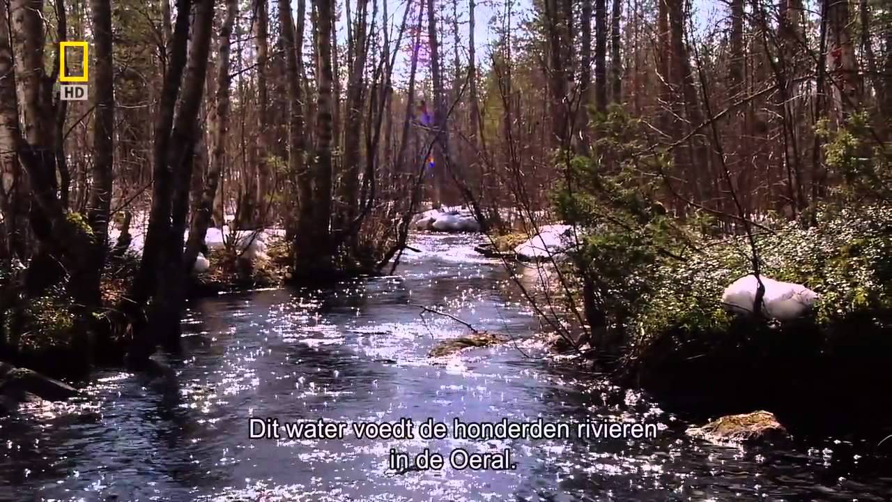 Wild Russia Primeval Valleys National Geographic)_youtube_original ...