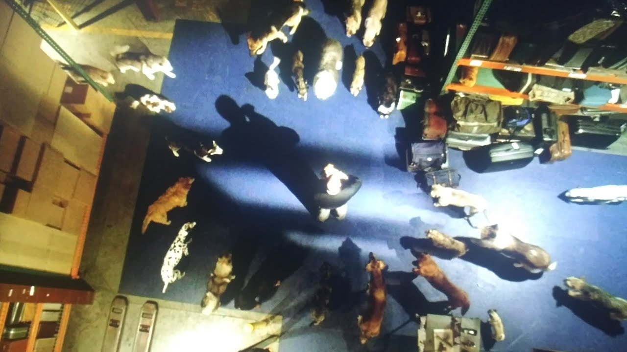 Garfield: The Movie - Happy Chapman's Defeat - YouTube