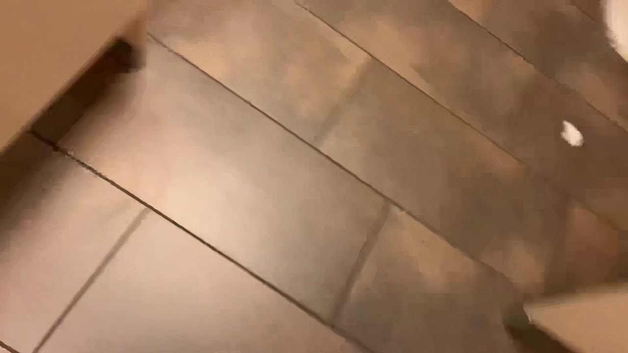 [561] Panera Bread Women’s Restroom - YouTube