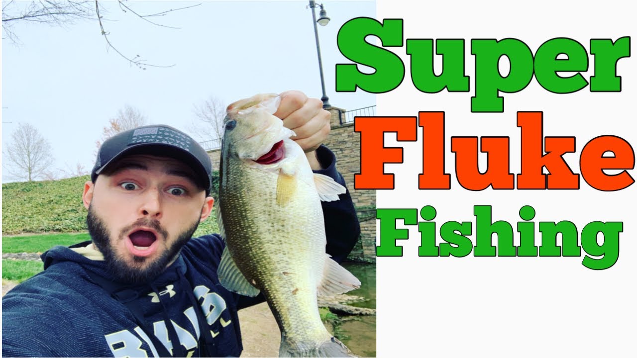 pond fishing with a super fluke | Pre spawn | Gmoneystrong bass open ...