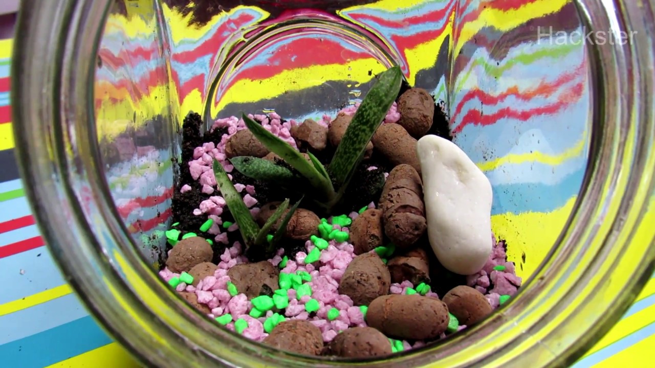 How To Make Florarium In Easy Way - DIY Florarium With Sukkulente - YouTube