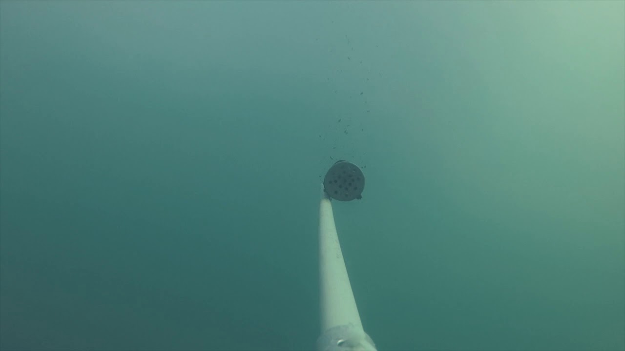 APYAC BRUV Monitoring 06 06 18 BC edit - YouTube