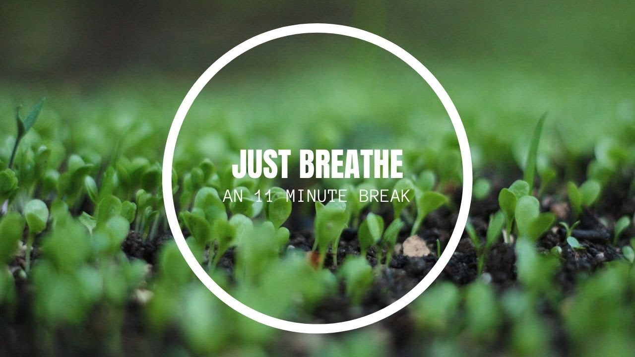 Just Breathe - 11 minutes of self-reflection - YouTube