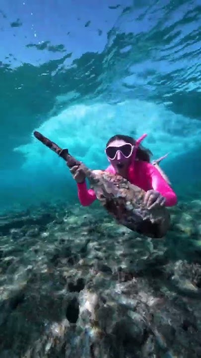 Treasure Found Underwater Adventure Barbie Shipwreck Youtube