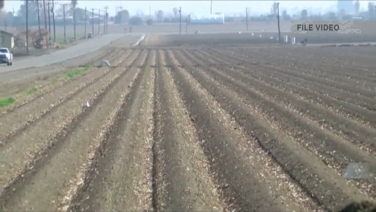 Governor Hobbs announced Saudi dairy company no longer pumping Arizona ...