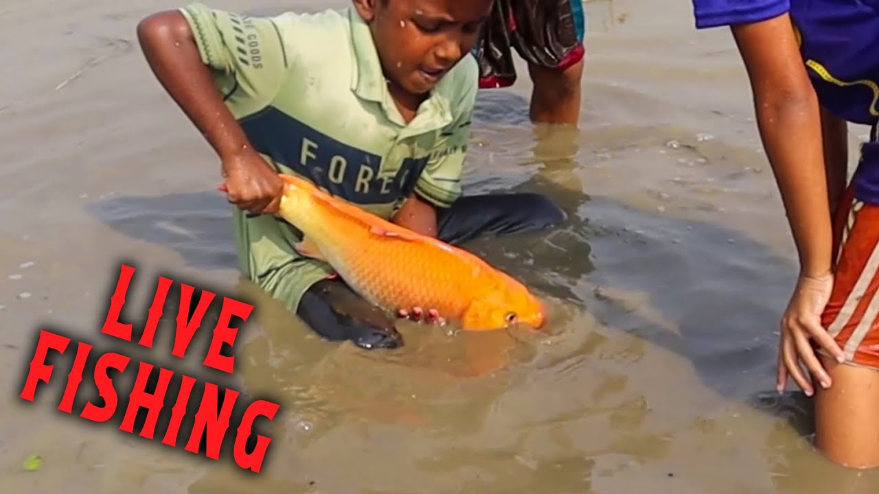 🎣🌈 Live Now Kids Catching Colorful Fish by Hand in a Beautiful Village ...