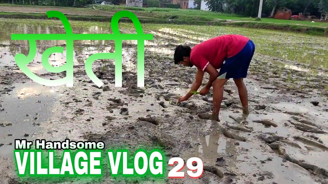 खेती | Mr handsome Village Vlog Season 2 | Part 29 | Kisaan | Dhaan ki ...