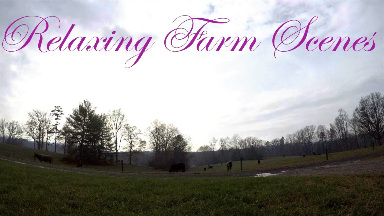 Relaxing Farm Scenes set to Classical music (time lapse and drone ...