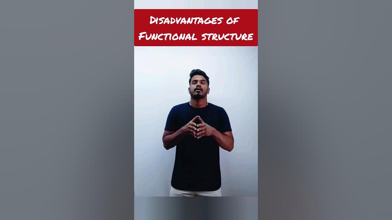 disadvantages of functional structure - organising class 12 business ...