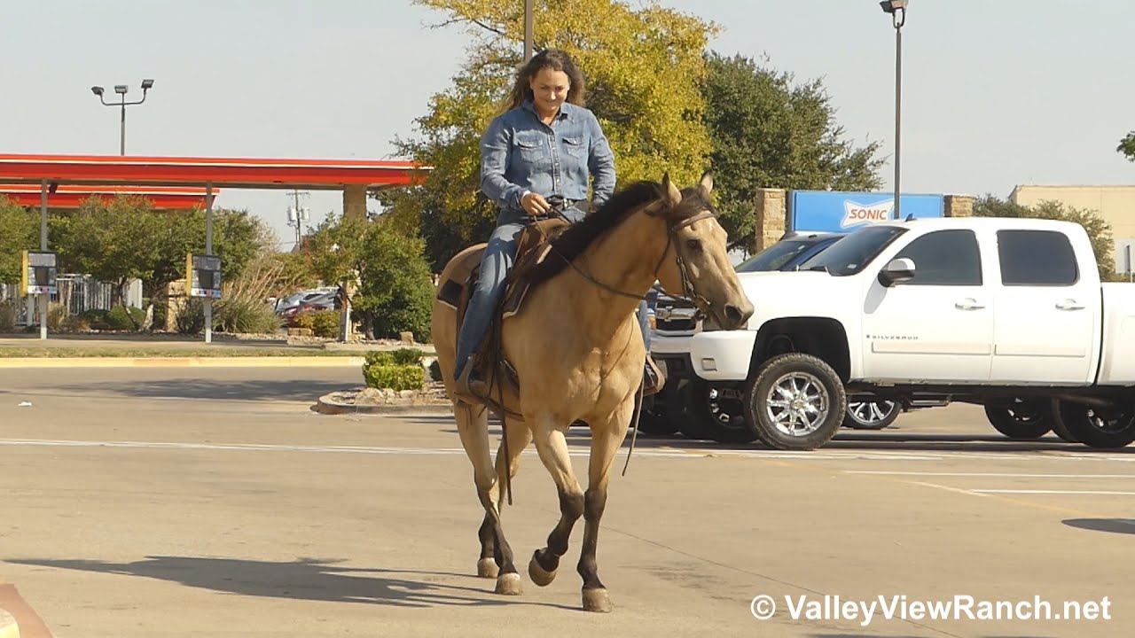 Robert - riding in town! - ValleyViewRanch.net - YouTube
