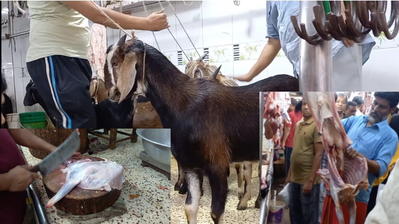 Amazing Fastest Big Goat Cleaning & Cutting Skills By Expert Cutter ...