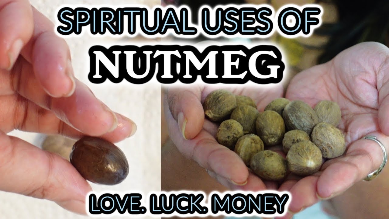 NUTMEG SPIRITUAL USES FOR LOVE, LUCK AND MONEY 🌱 A POWERFUL SEED FOR ...
