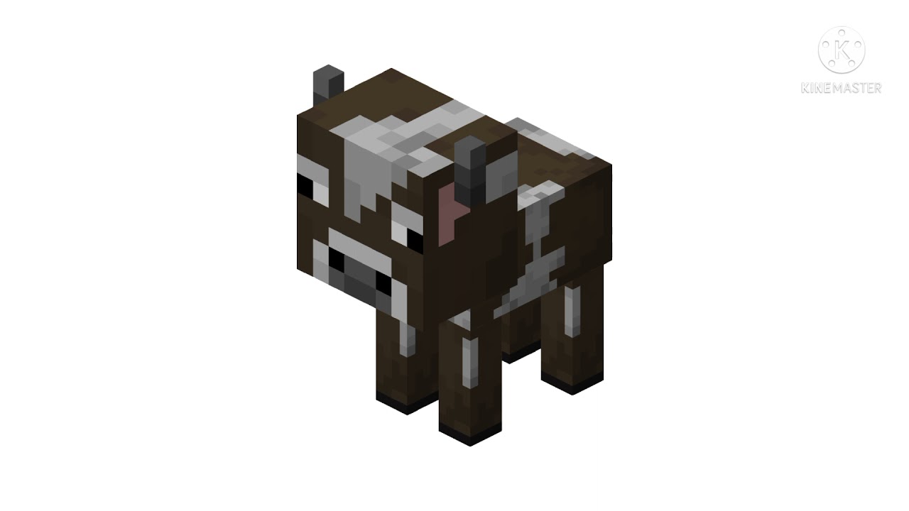 Baby Cow Sound FX - YouTube