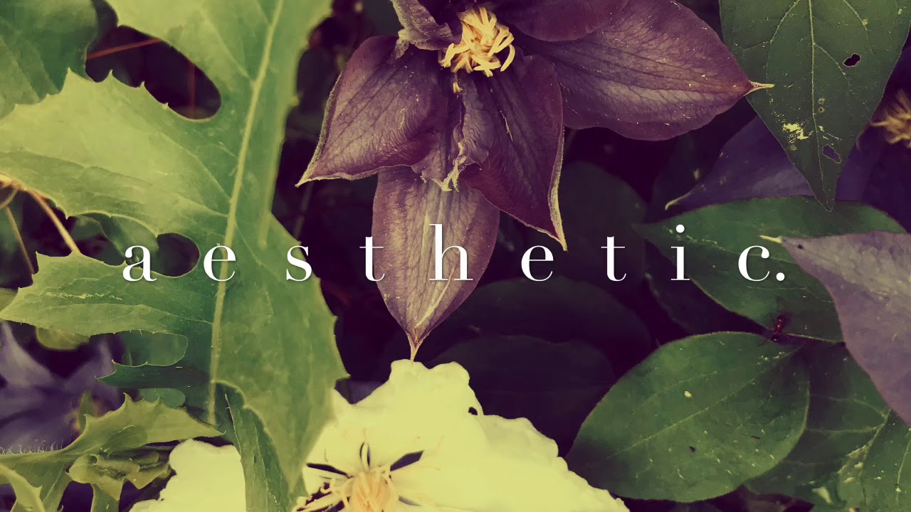 S O H I G H YouTube s-o-h-i-g-h-youtube