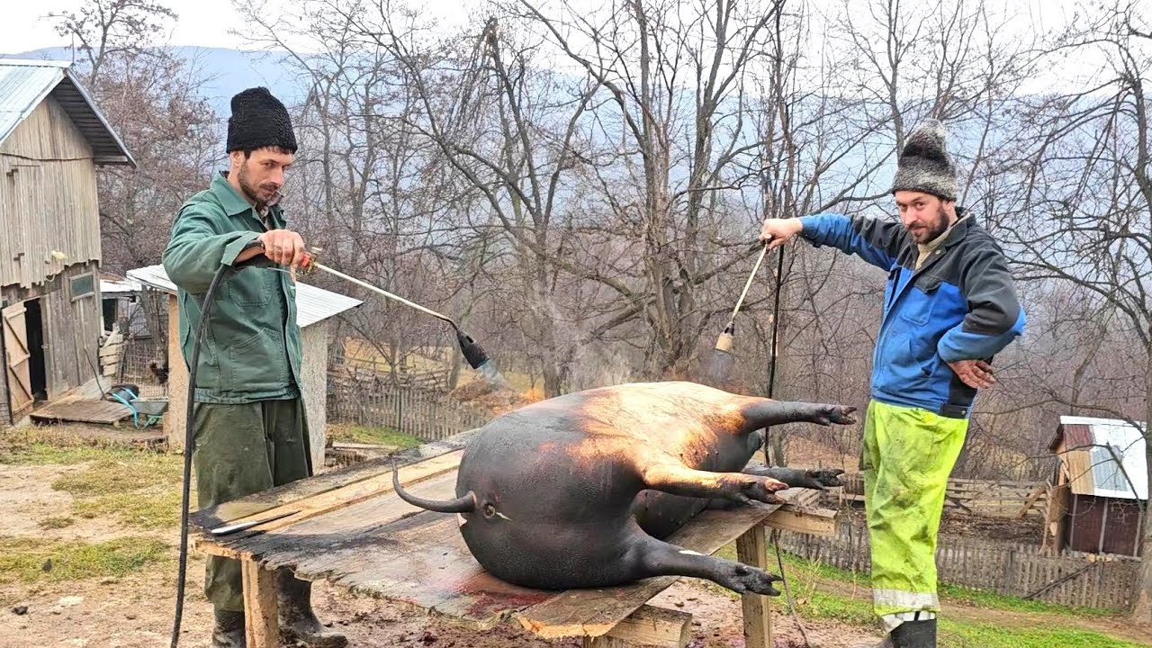 PASTRAREA TRADITIILOR IN SATUL PIETRICEAUA,LA FRATII GOSPODARU.2024 ...