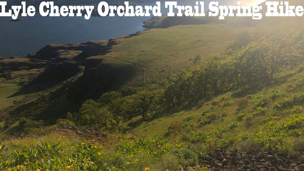 Lyle Cherry Orchard Trail and Lyle Loop hiking Columbia Gorge in May ...