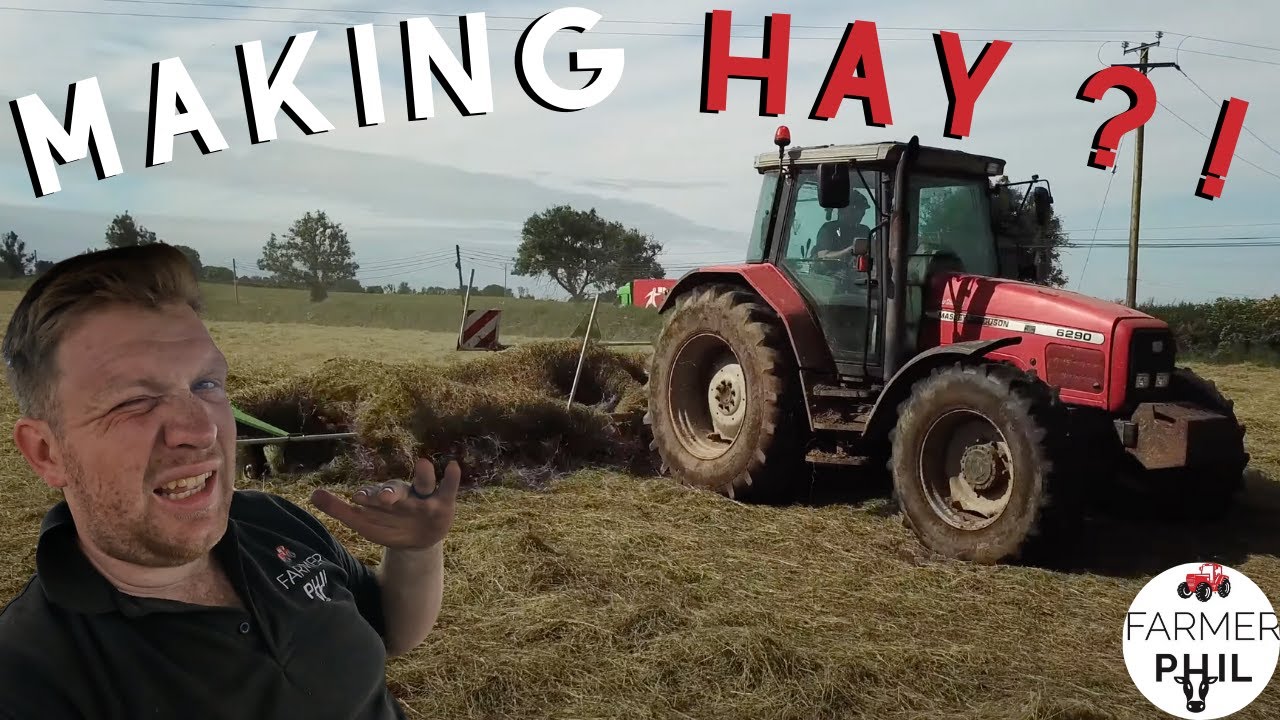 CAN WE SAVE HAY ?! - YouTube