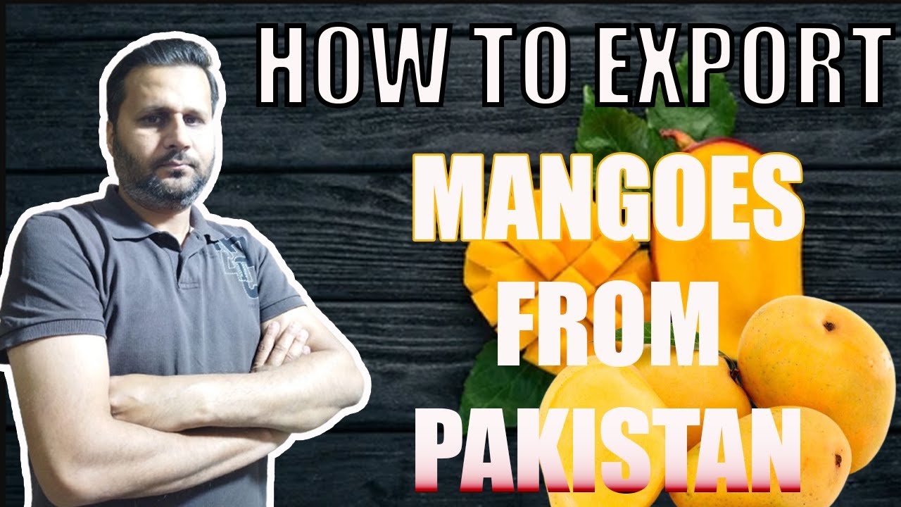 How to Export Mangoes from Pakistan? | Export Mangoes business || WORLD ...