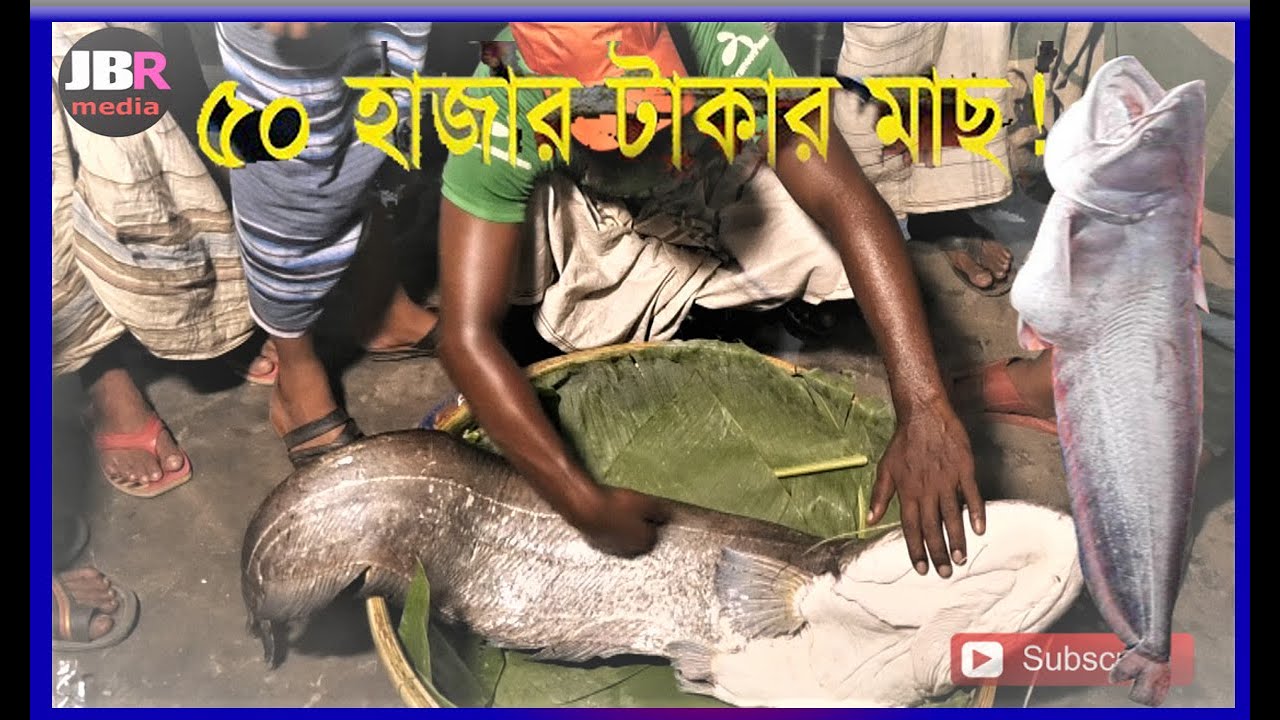 Wonderful Fishing-People Big Catfish $Boal fish Bangladesh fish Market ...