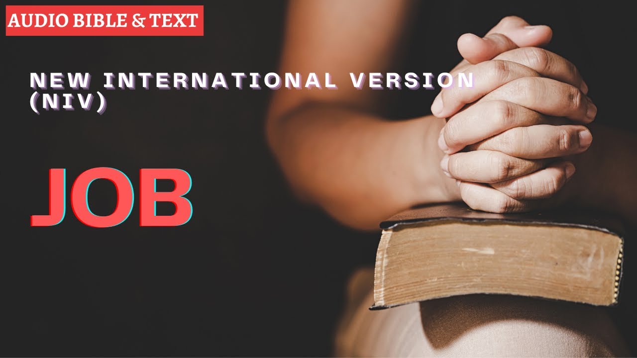 English Audio Bible | Job (FULL STORY) | New International Version (NIV ...