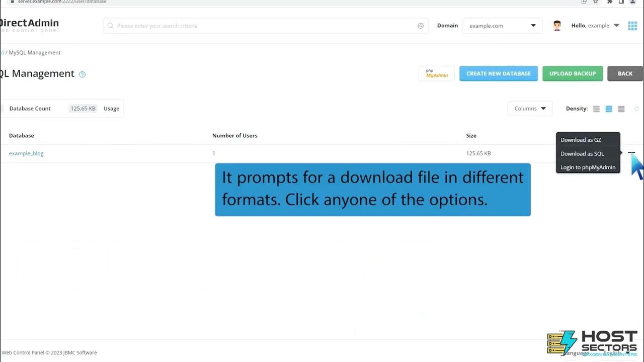 How To Download Your Database From Directadmin Hostsectors Youtube