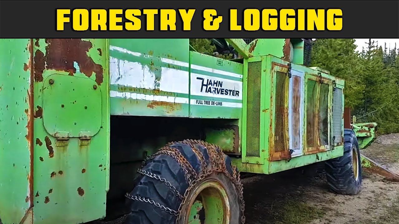 Found An Old Hahn Harvester Full Tree Delimber - Real Life Forestry ...