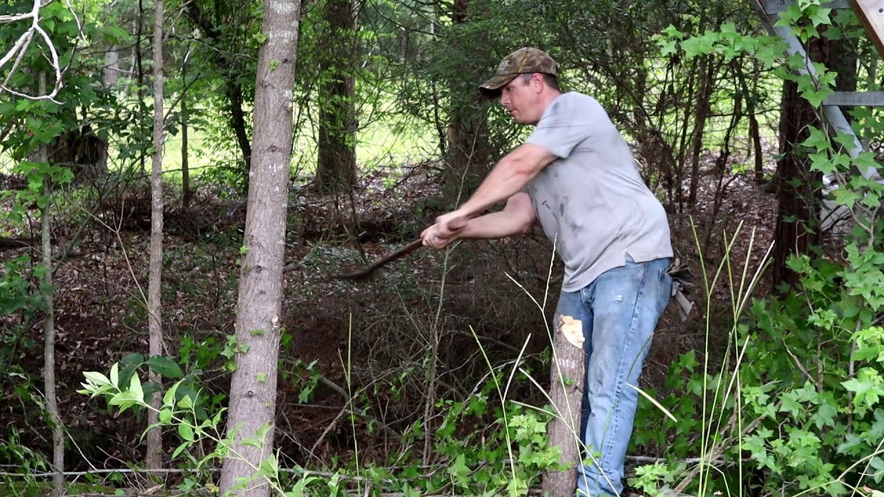 John Deere Brush Hogging Trees Shredder Max Man Time! - YouTube