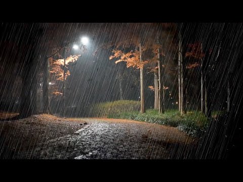 Dərin bir payız gecəsində yarpaqların tökülməsi ilə cazibədar yağış səsi, şəfa vaxtı