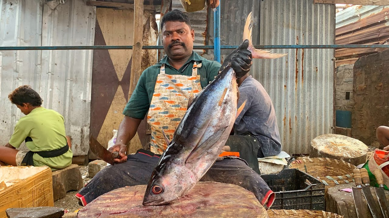 KASIMEDU BULLET SPEED SELVAM🔪INCREDIBLE SPEED TUNA FISH CUTTING🔪KF FISH ...