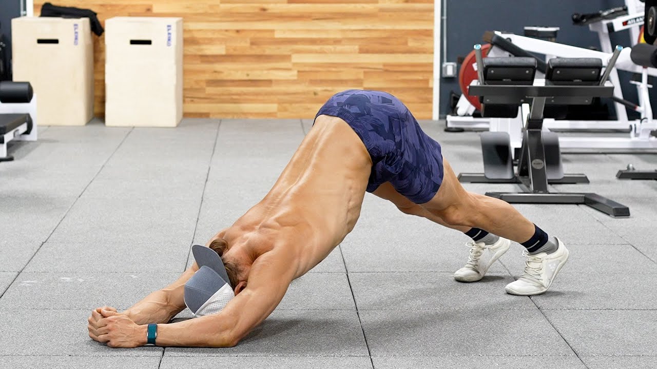 Forearm Plank to Dolphin Pose - YouTube