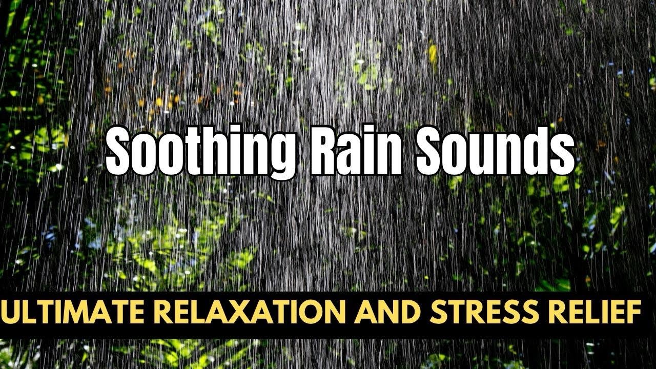 Soothing Rain Sounds: Ultimate Relaxation and Stress Relief - YouTube
