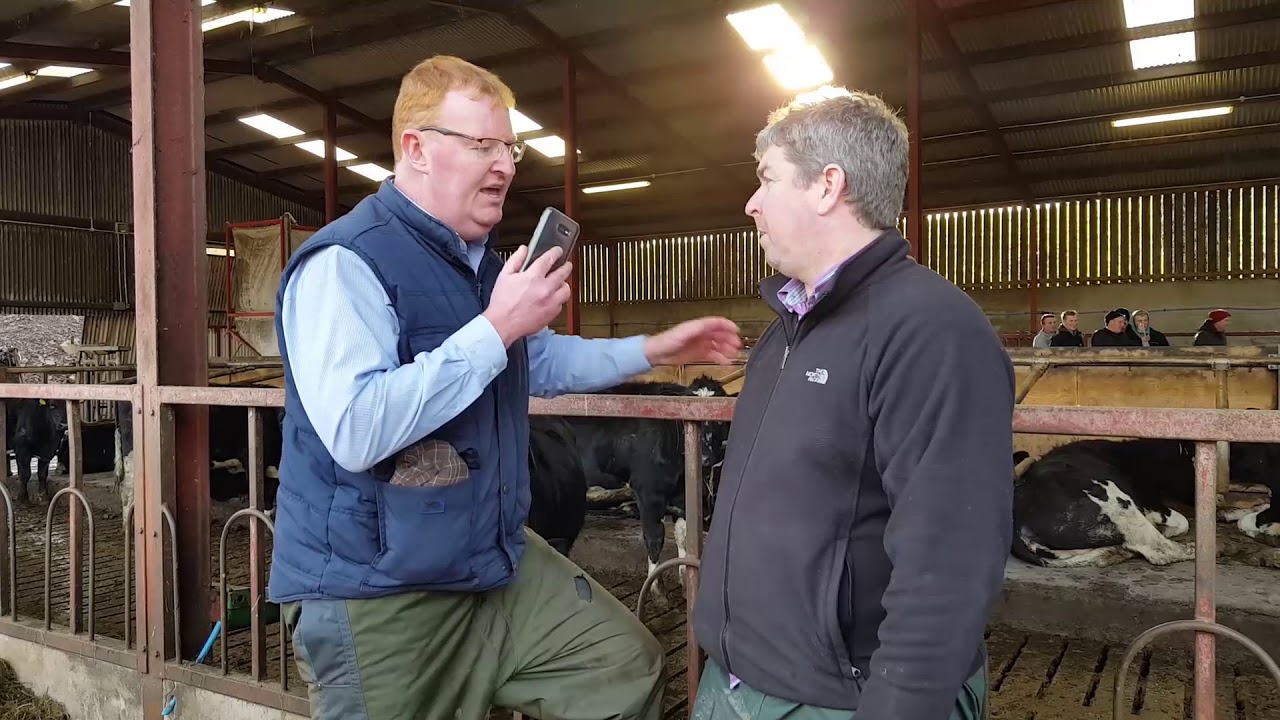 Dairylink: the optimal cow on Robin Clements’ farm - YouTube