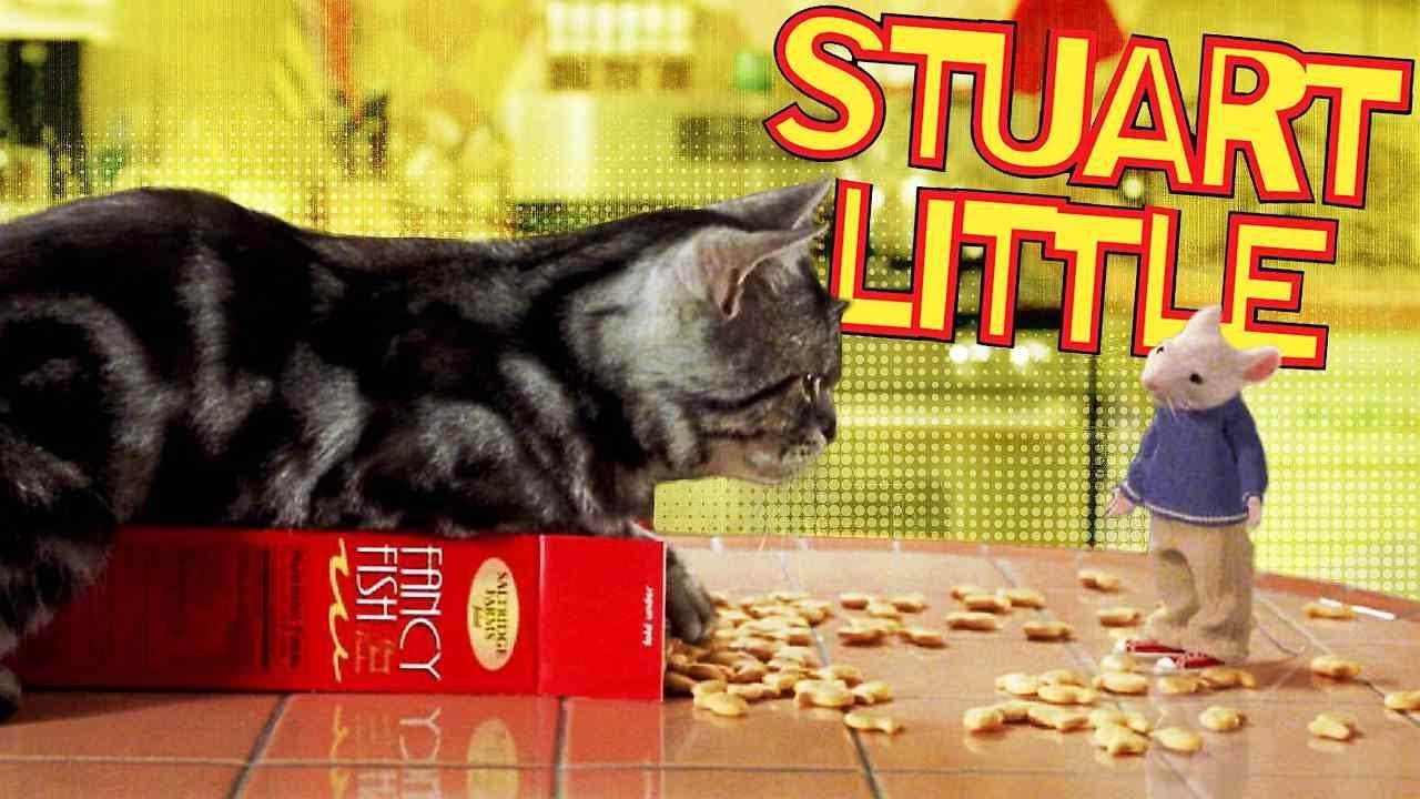 Stuart Little Trailer (HD) - YouTube