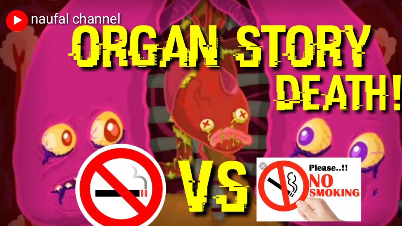 Organ story by.|| NFLChnnL - YouTube