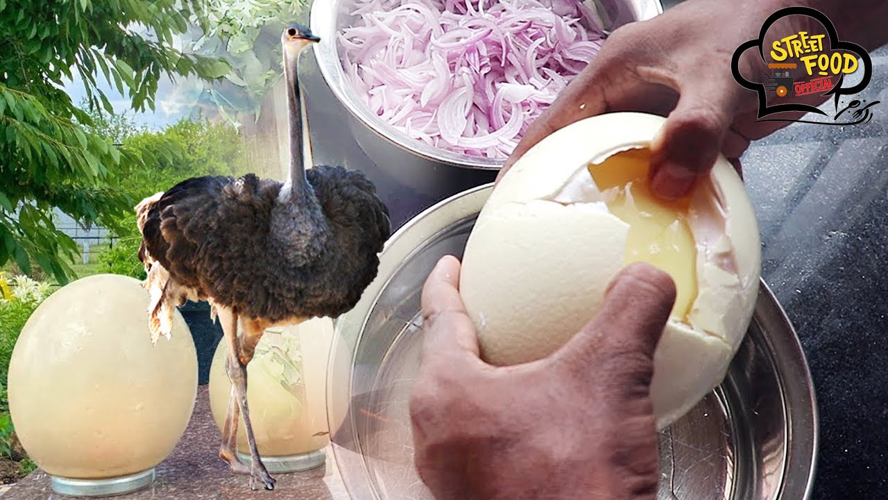 ostrich egg omelet - shutar murgh ke ande ka omelette - YouTube