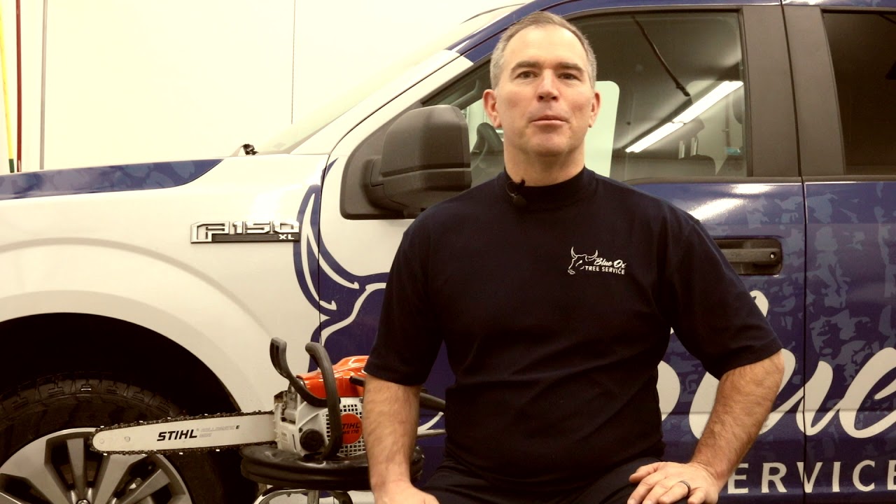 Meet Blue Ox Tree Services - YouTube