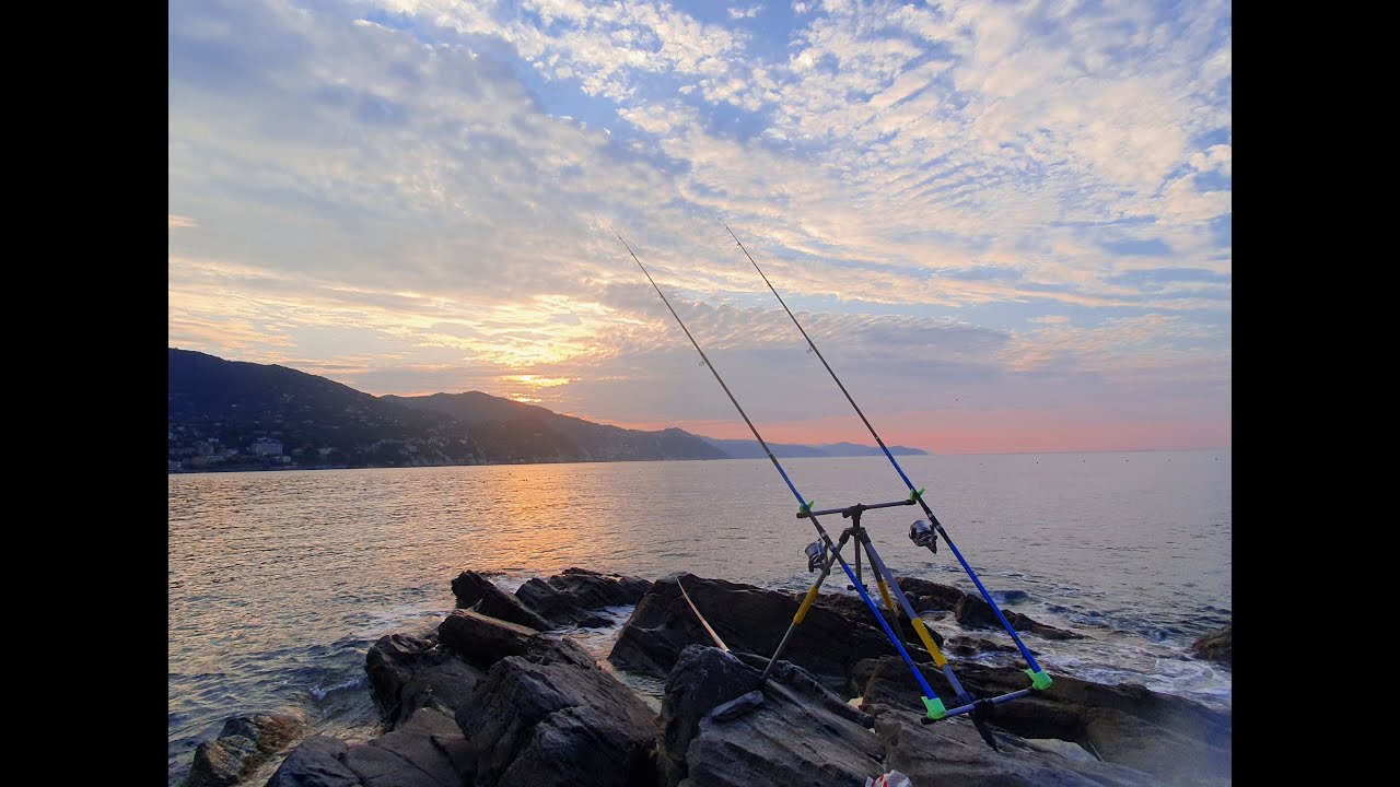 Ligurian Fishing Adventures - Speciale Rockfishing con GEMINI Genie Rig ...