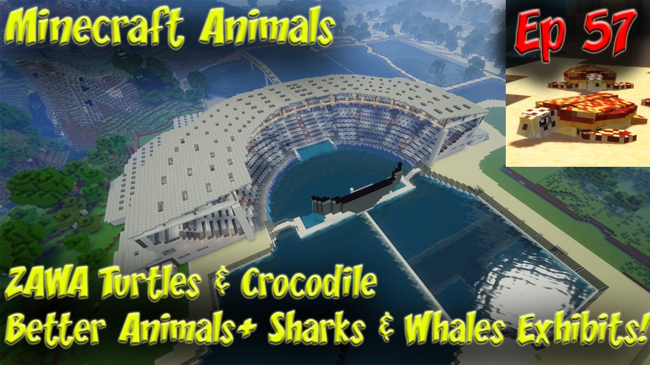 ZAWA Turtles & Crocodile Better Animals + Sharks & Whales Exhibits ...