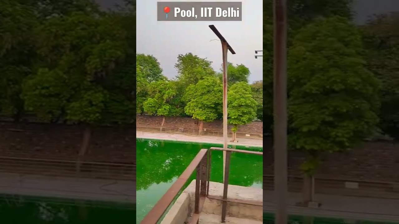 Swimming Pool, IIT Delhi #iit #iitdelhi #iitjee #shorts - YouTube