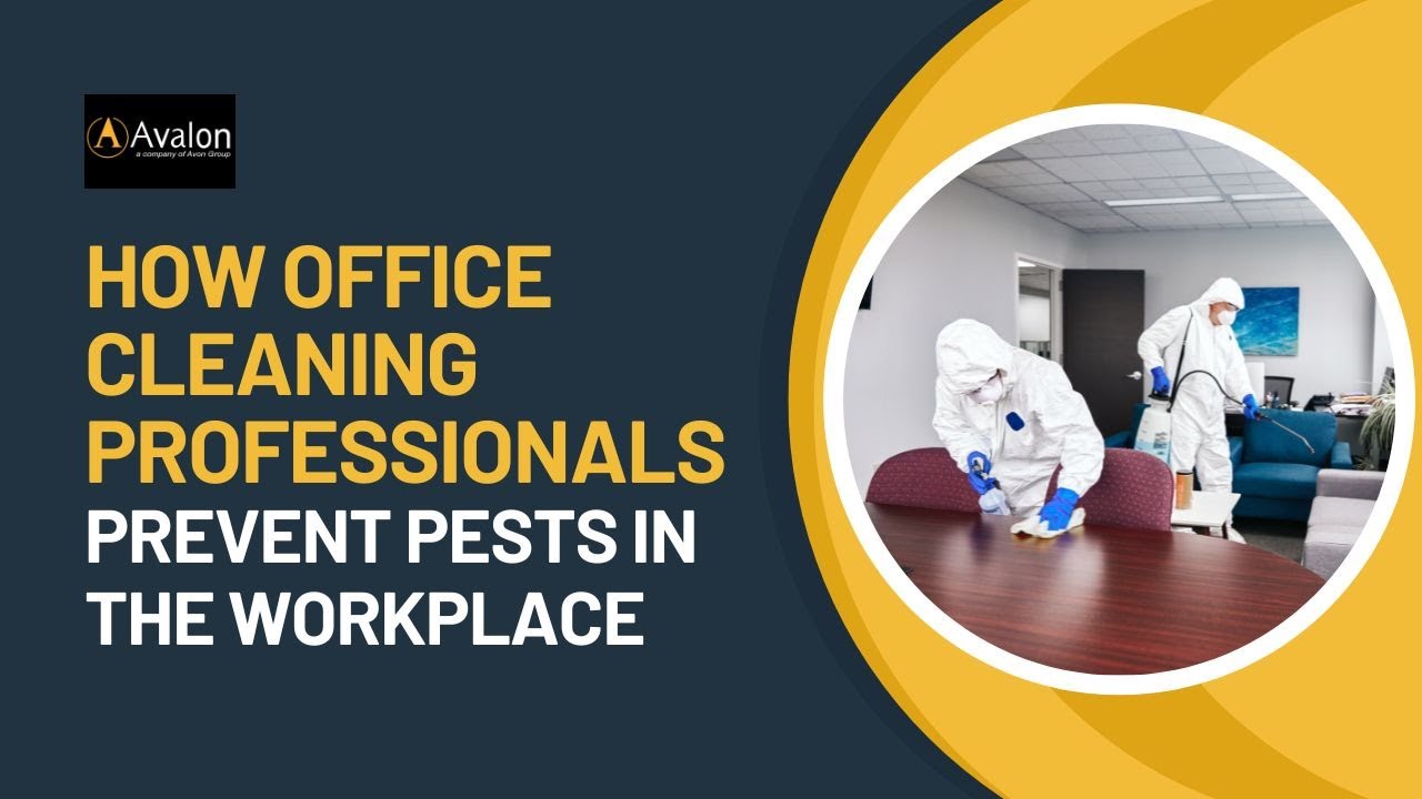 How Office Cleaning Professionals Prevent Pests in the Workplace - YouTube