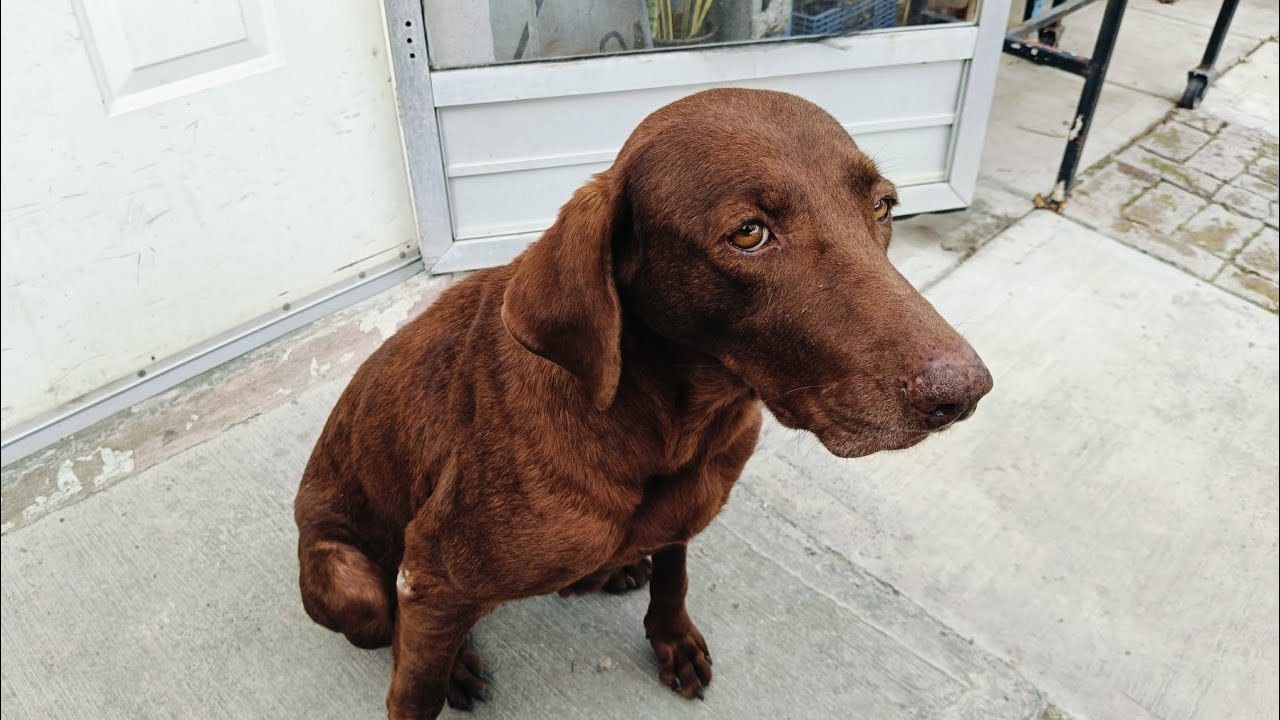 Aquí Platicando con la Deysi ! 😁 - YouTube