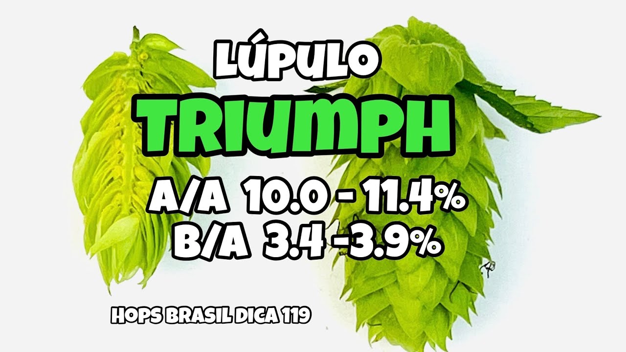 LÚPULO TRIUMPH - HOPS BRASIL DICA 119 - YouTube