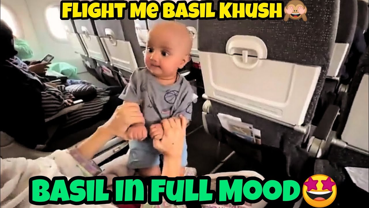 Basil In Full Mood🤩 | Flight Me Basil Khush🙈 | Baby Basil | Maaz Safder ...